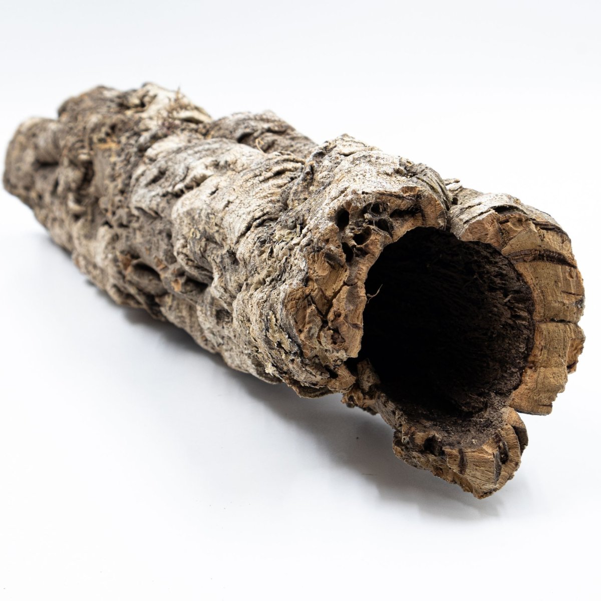 Tub mare din plută naturală virgină (L - 2 kg) - Tuburi de plută ...