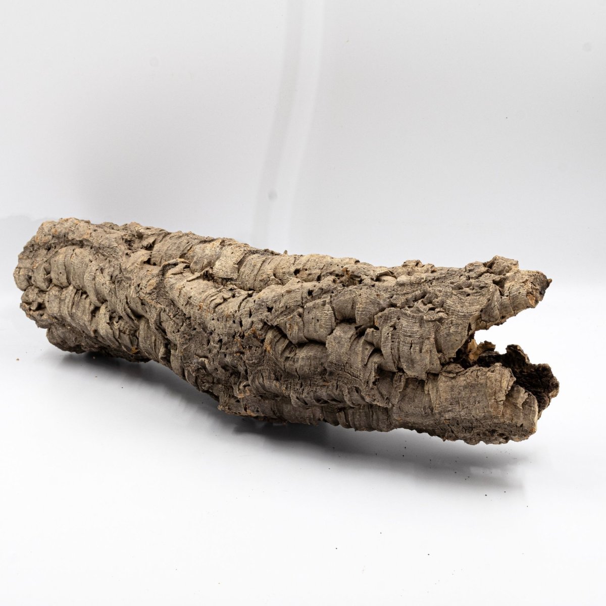 Tub mic din plută naturală virgină (S - 0,5 kg) - Tuburi de plută ...